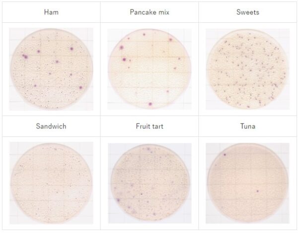 Easy Plate - Yeast and Mould (YM-R) - FMCG FMCG